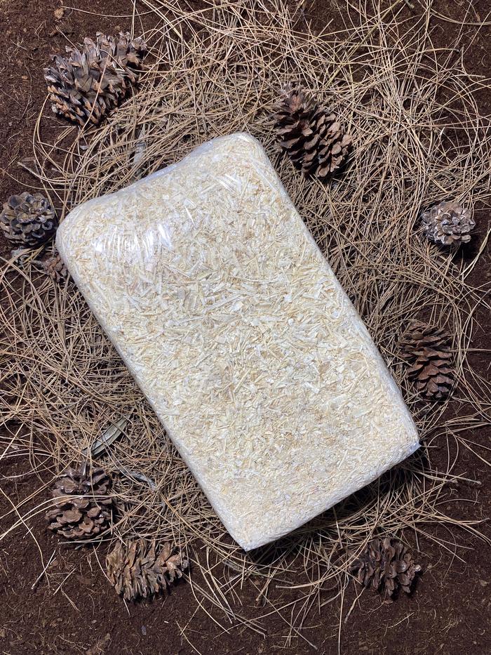 Jual Serbuk Kayu Pinus alas kandang reptil sulcata hamster ular kadal ...