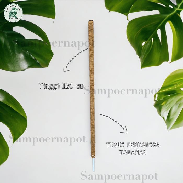 Promo Turus Rambatan Penyangga Tanaman Rambat Panjang 120 Cm - TURUS ...