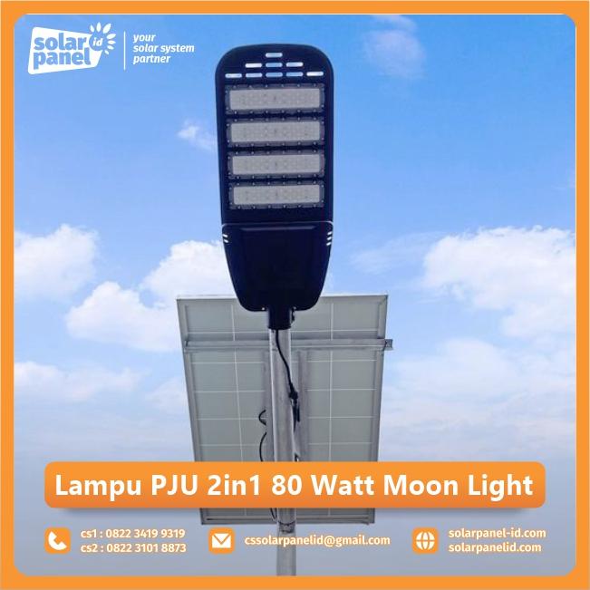 Jual Lampu PJU Solar Cell 60 Watt Moon Light LED Philips | SPF - Kota ...