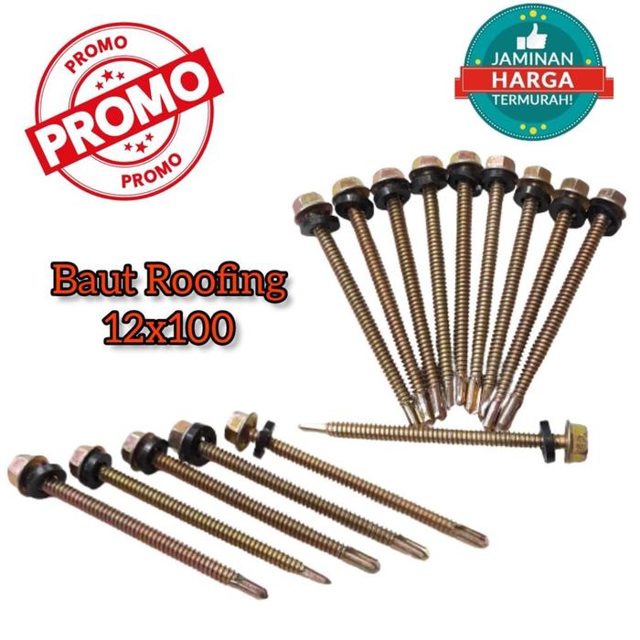 Jual Baut Skrup Sekrup Roofing Baja Ringan Atap Plafon 10cm 12x100 10 ...