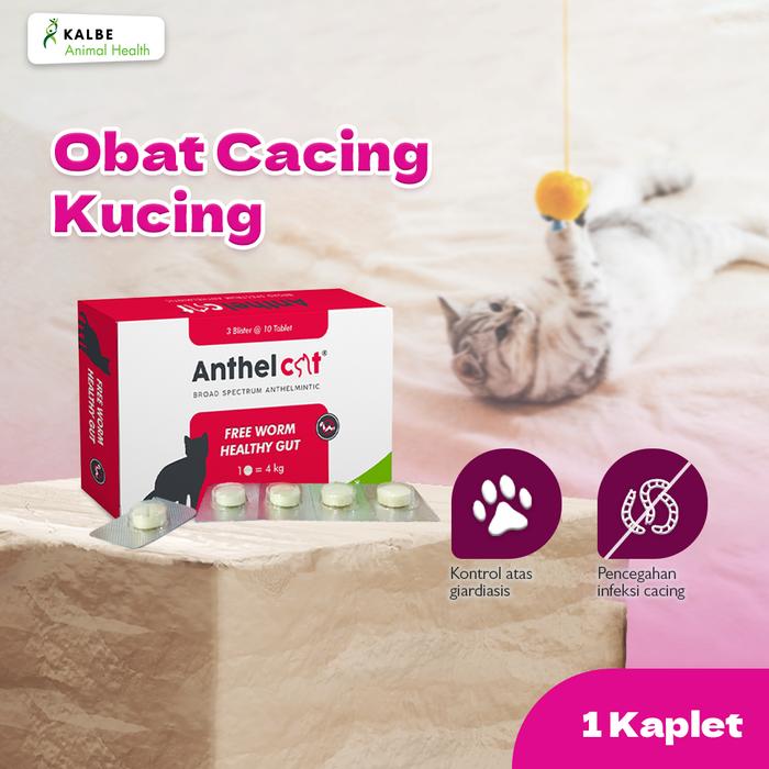 Jual Anthel Cat 1 Tablet - Obat Cacing Kucing by Kalbe [ORIGINAL ...