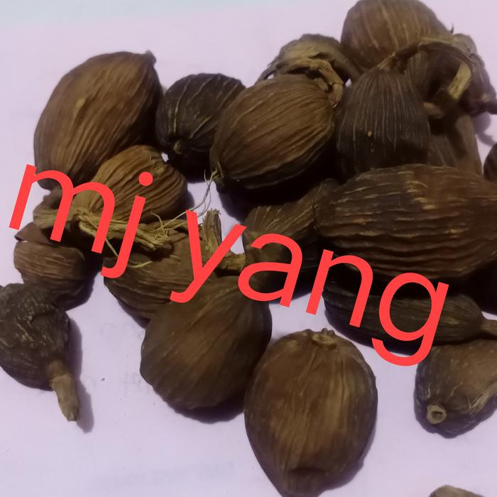 Jual 250 gr gram cao Guo black cardamom kapulaga hitam tsaoko amomum ...