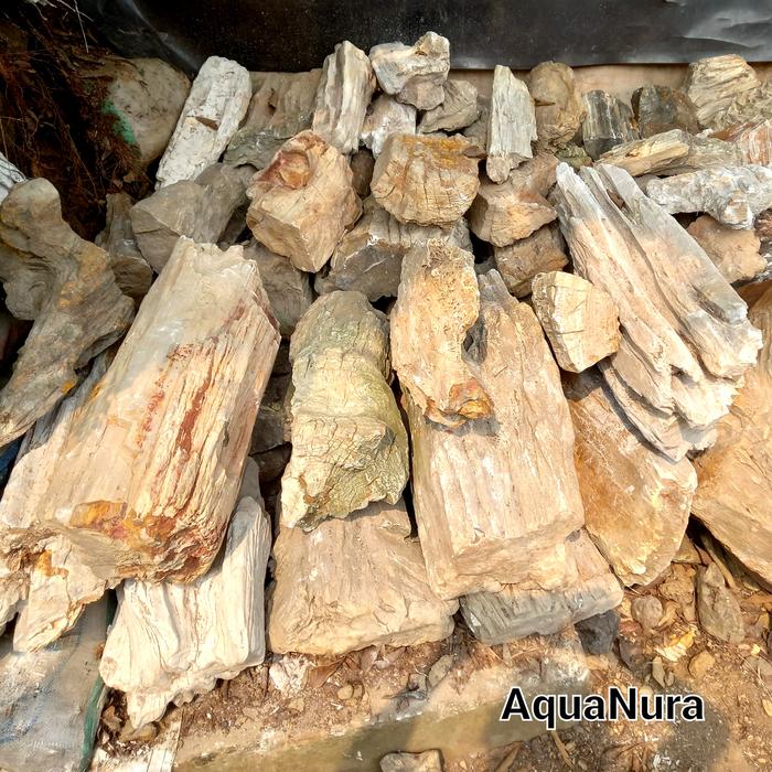 Jual batu fosil kayu jumbo suiseki biseki kolam taman aquarium - Kota ...