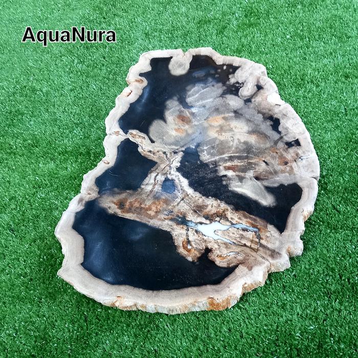 Jual tatakan bonsai tatakan serba guna batu fosil taman hiasan rumah ...