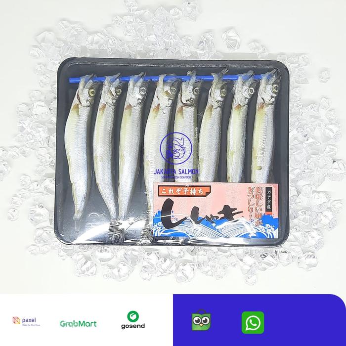 Jual Ikan Shisamo/ Ikan Capelin/ Premium Import - Jakarta Selatan ...