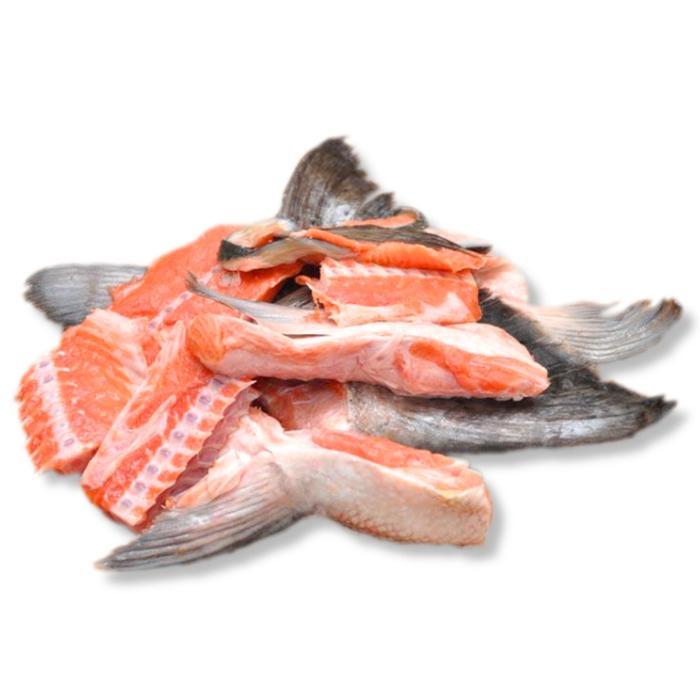 Promo Tulang Ikan Salmon Norway & Trout / Salmon Fish Bone 250gr - Kota ...