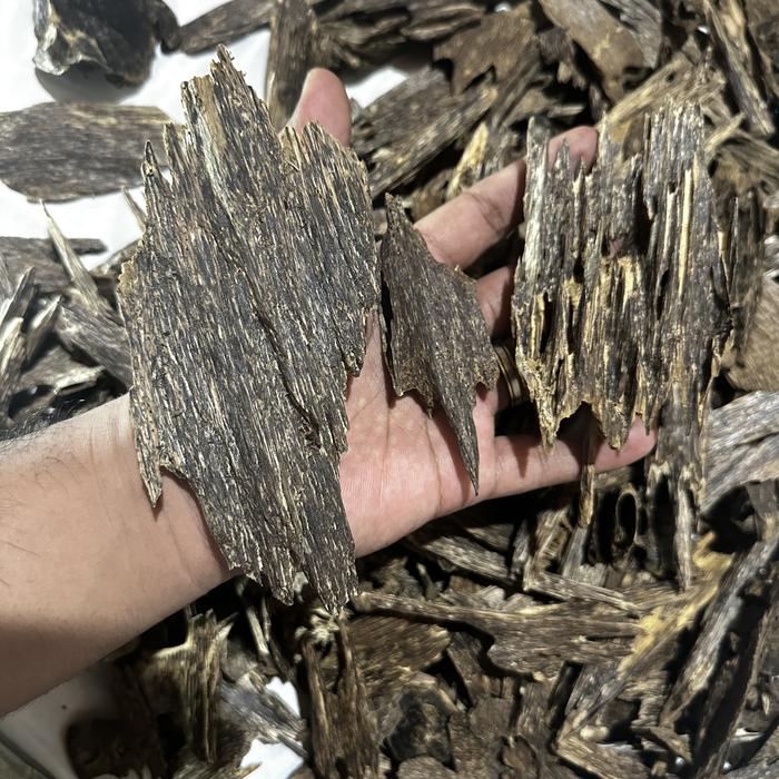 Jual Kayu gaharu Asli Triple super grade 1 kg - Malinau Kalimantan ...