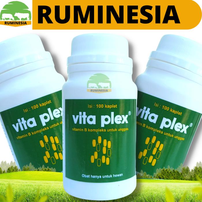 Jual VITA PLEX 100 KAPLET - Vitamin Unggas Ayam Burung Lengkap Vitaplex - Kota Surabaya ...