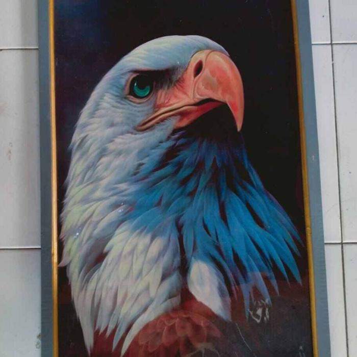 Jual hiasan dinding lukisan cetak elang plus bingkai ukuran 85*55 ...