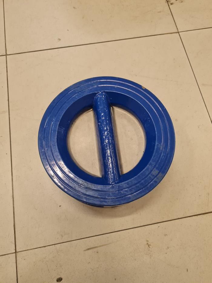 Jual WAFER CHECK VALVE 6" INCH DN150 CAST IRON JIS 10K TGV - Jakarta ...