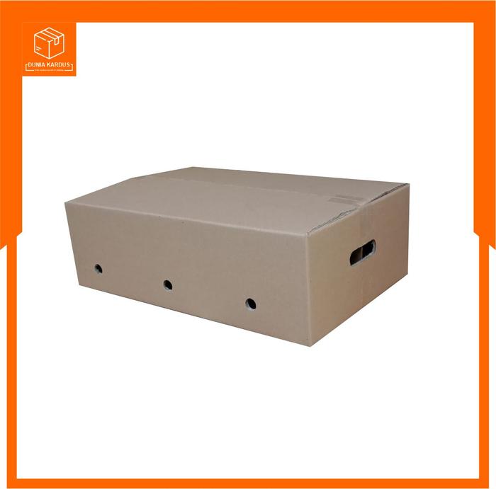 Jual BOX BUAH MANGGA ISI 24 UK.53X35X16 CM | BOX BUAH | KARDUS | MANGGA ...
