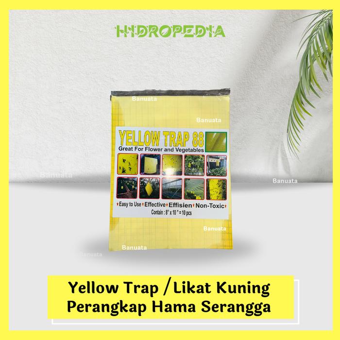 Jual Yellow Trap (Perangkap Serangga) isi 10 Lembar - Kualitas Bagus ...