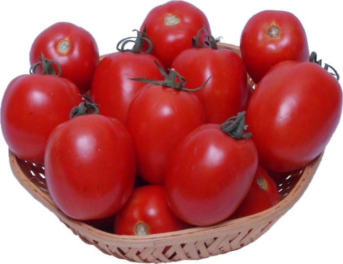 Jual Naturefarm - F1 Hibrida Tomat Supreme - Benih Seribuan - 4 Benih ...