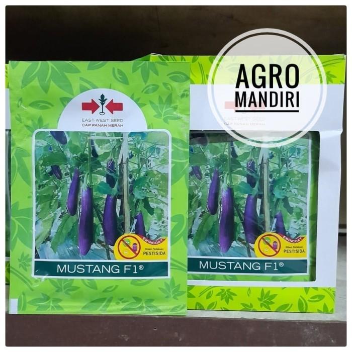 Jual Bibit Benih Terong Ungu Mustang F1 1100 Butir Cap Panah Merah - Kota Surabaya - Agro ...