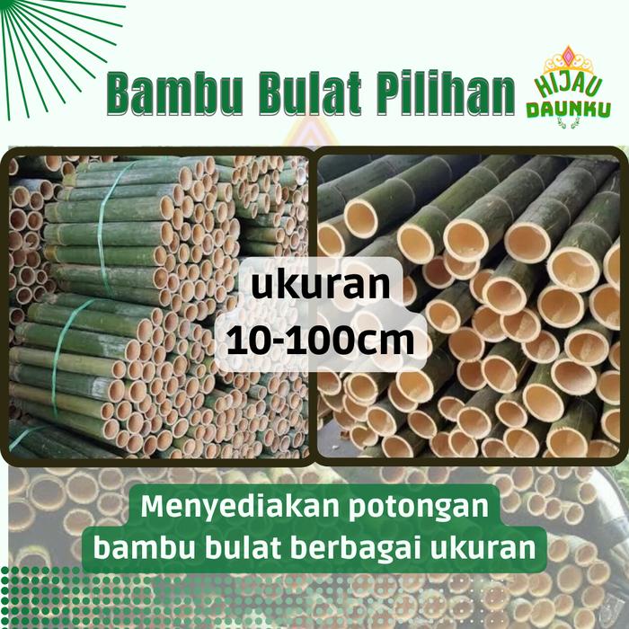 Jual Potongan Bambu Bulat Batang Super Berbagai Ukuran Panjang 10cm ...