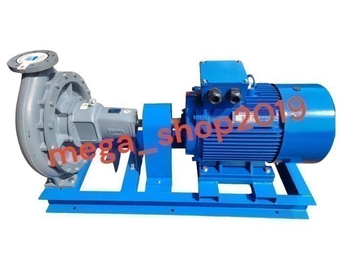 Jual Pompa Ebara GS 100-315L /160Kw/2 pole/End Section Volute Pump ...