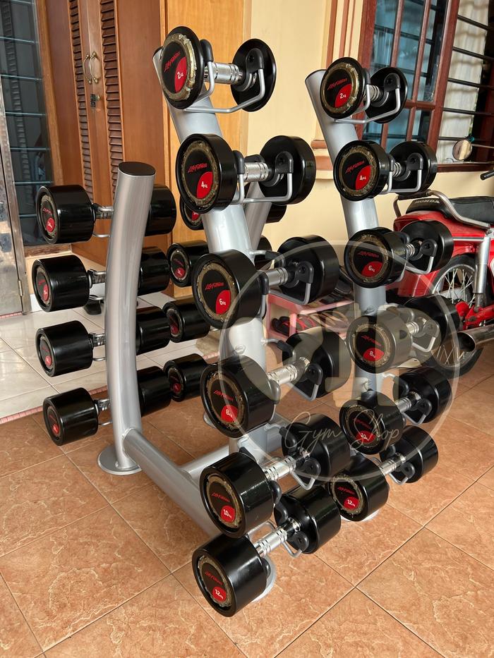Jual Life Fitness Original Fix Dumbbell 2 - 20 kg + Dubai Rack gym - Kota Batam - VIPGYMSHOP ...