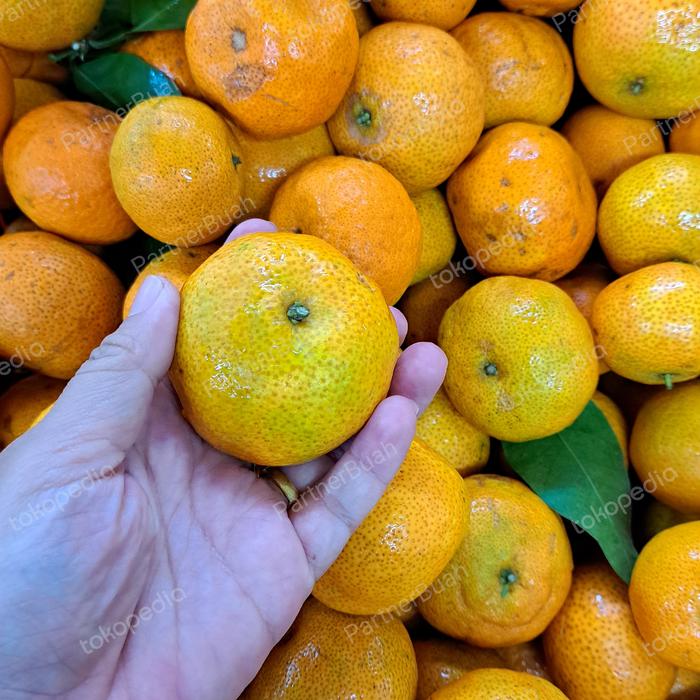 Jual Jeruk Shantang Birma Manis Promo Spesial 1 Kg - Jakarta Barat ...