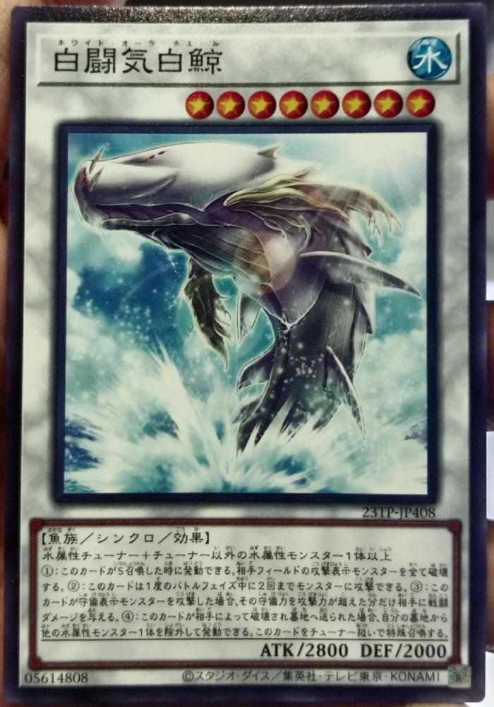Jual White Aura Whale | Normal | Yugioh OCG 23TP-JP408 - Jakarta Barat - Carttu | Tokopedia