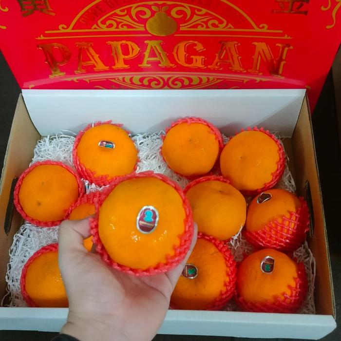 Jual Buah Jeruk Papagan Wokam Gift Pack Hampers Imlek Chinese New Year ...