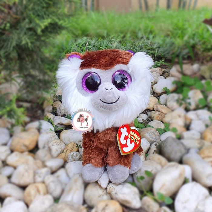 Jual Ty Beanie Boos - Tamoo the Monkey - Kota Medan - Cookieegoodieenew ...