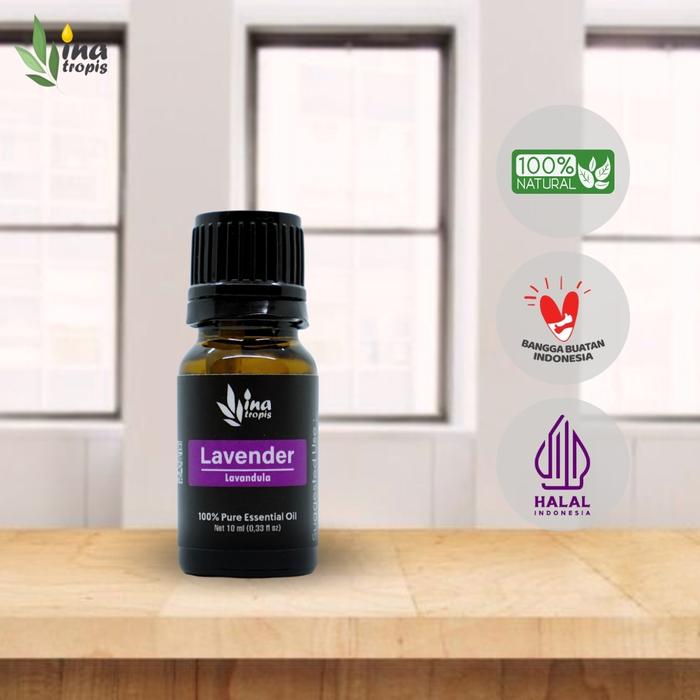 Jual Lavender Essential Oil / Minyak Lavender 100% Alami - 10 ml INA ...