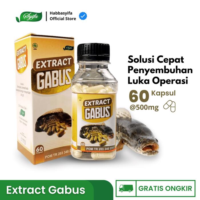 Jual Ekstrak Ikan Gabus - 60 Kapsul - Kota Bogor - HabbaSyifa Official ...