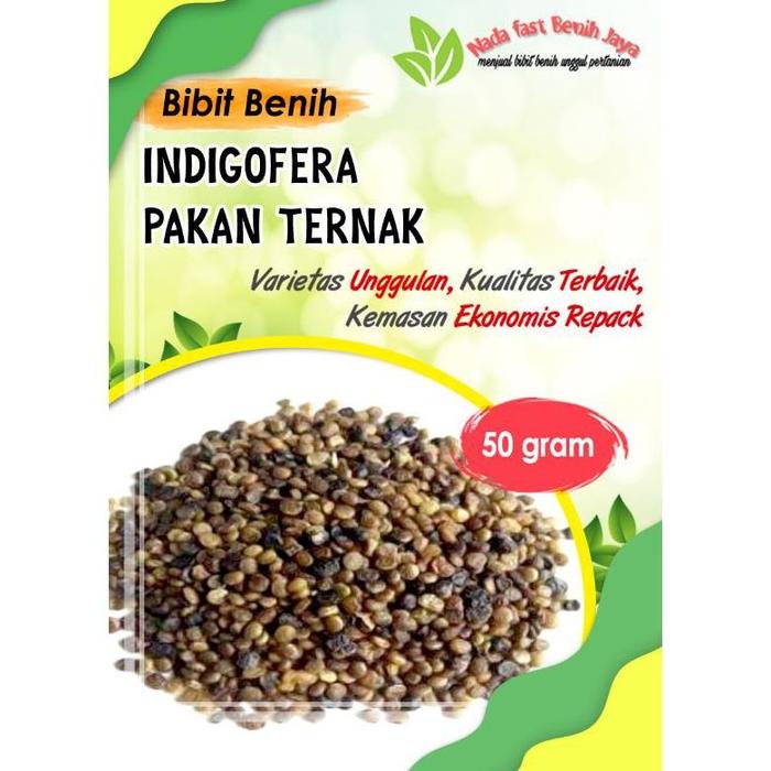 Jual 50 Gram Benih Indigofera SUPER Pakan Ternak - Jakarta Timur ...