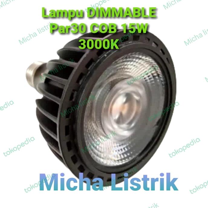 Jual HILED Lampu Sorot DIMMABLE PAR30 COB 15W e27/Lampu Spotlight 15W ...