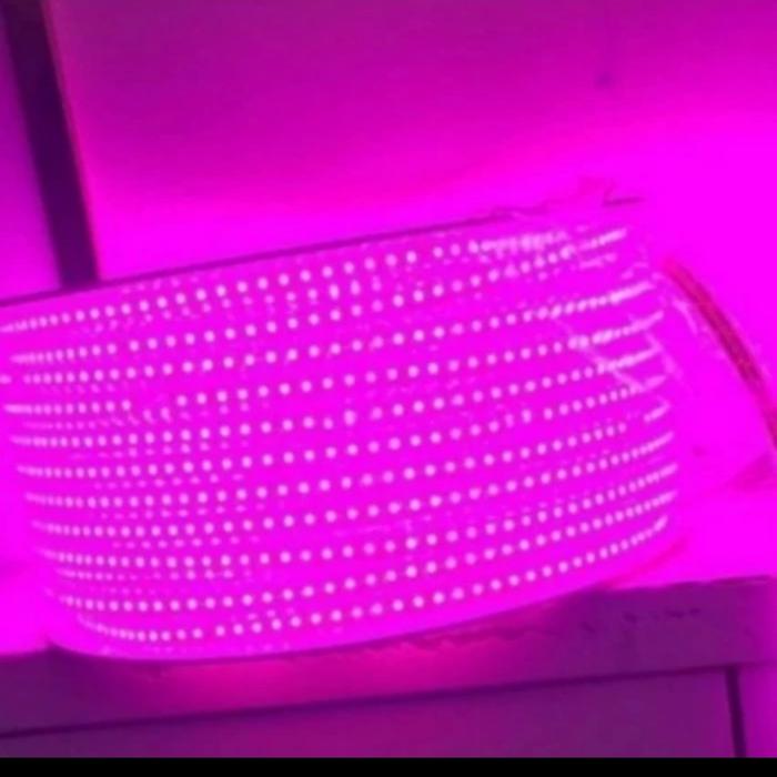 Jual Lampu selang led strip putih 5050 led drop ceiling plafon led ...