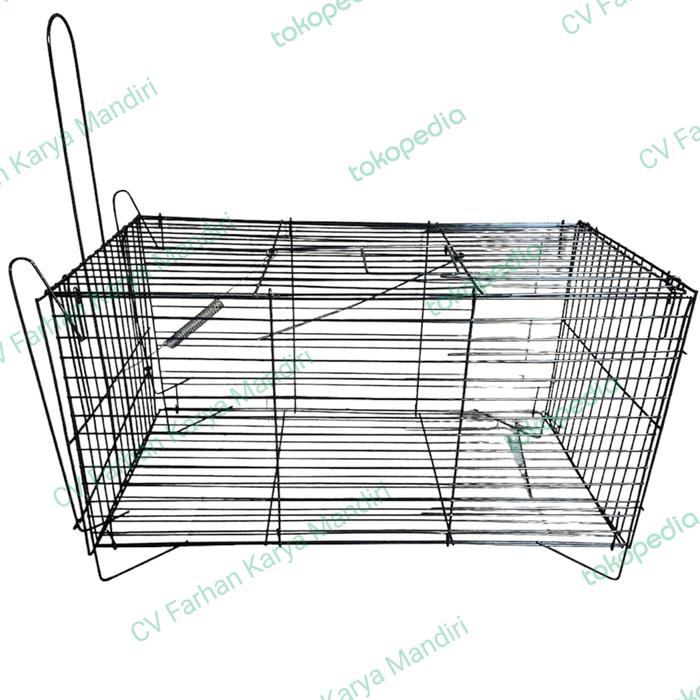 Jual Perangkap/jebakan lipat buat kucing, musang, tikus - Kab. Bogor ...
