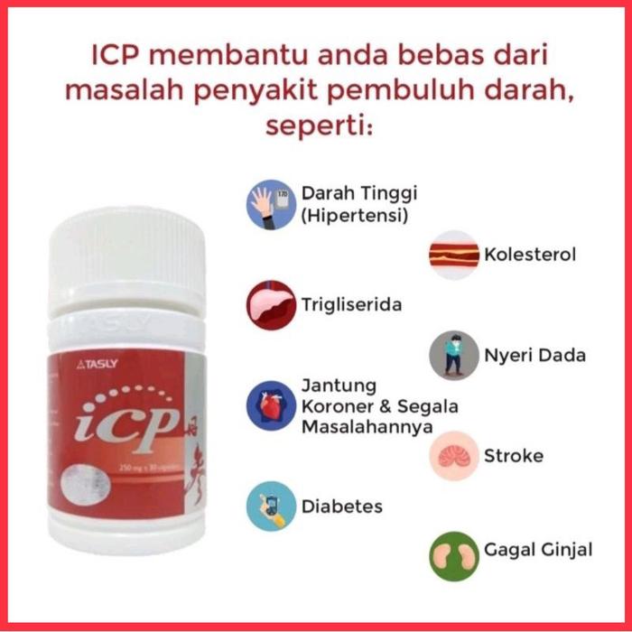 Jual ICP CAPSULE Herbal Jantung dan Stroke Paling Ampuh isi 30 kapsul ...