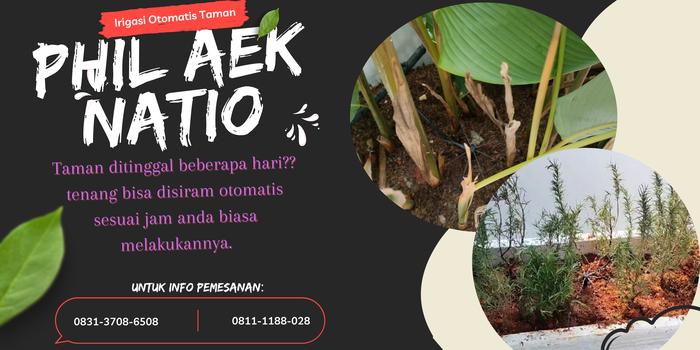 Jual PENYIRAM TANAMAN OTOMATIS JENIS DRIP - PAKET 5 POT BESERTA ...