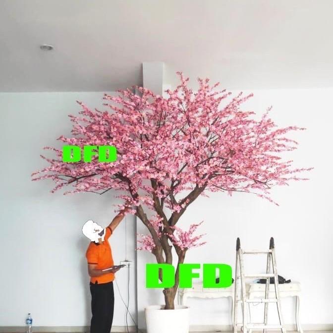 Jual Pohon Sakura 2 Meter Rimbun / Pohon Imlek / Pohon Meihua - Jakarta ...