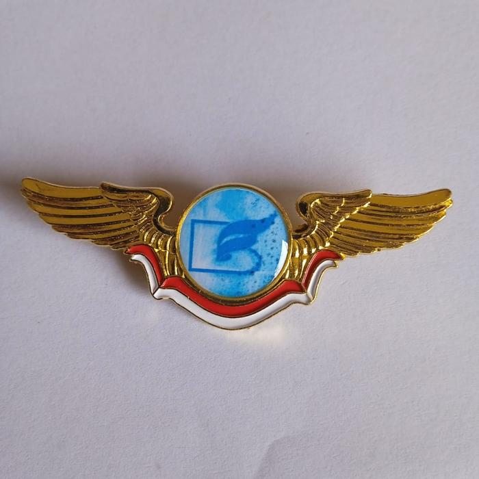 Jual Custom Pin Kuningan Tebal Pin Resin Pin Logo Komunitas Pin ...