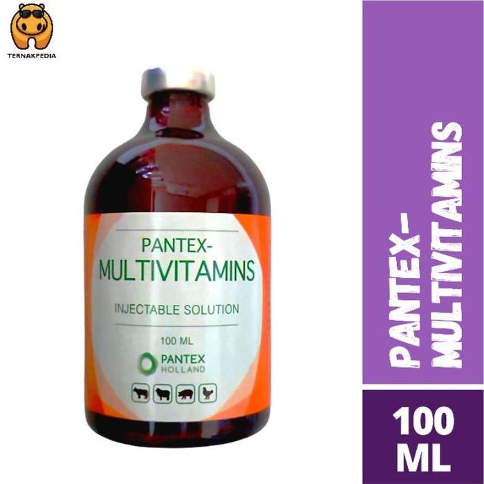 Jual Pantex Multivitamin 100 ml - Multivitamin Pantex - Multivitamin ...