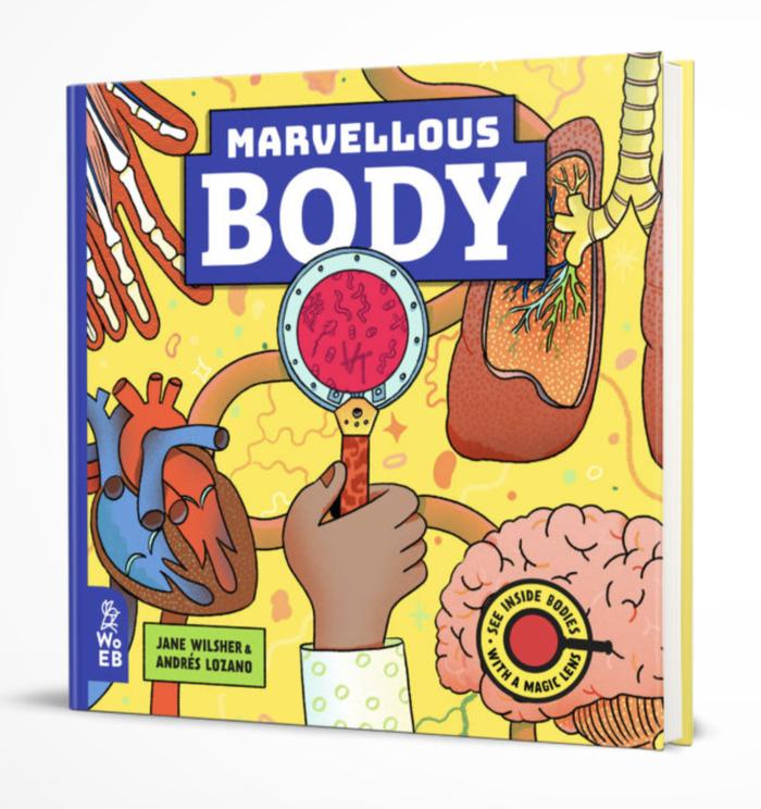 Jual Marvellous Body Reveal the incredible inner workings of the human ...