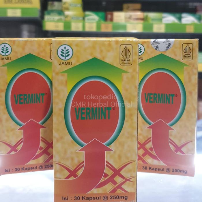 Jual Vermint 30 kapsul Cacing Lumbricus Rubellus untuk Demam, Thypus ...