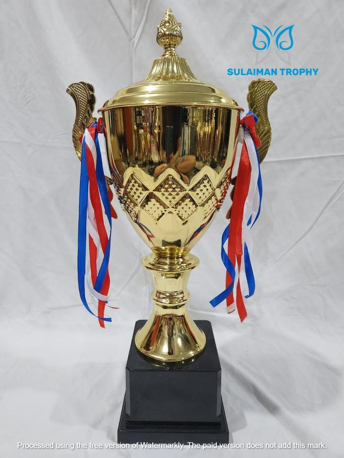 Jual Piala Cup tipe 02 Kuningan - Wing Satuan, Stardust Photo - Jakarta ...