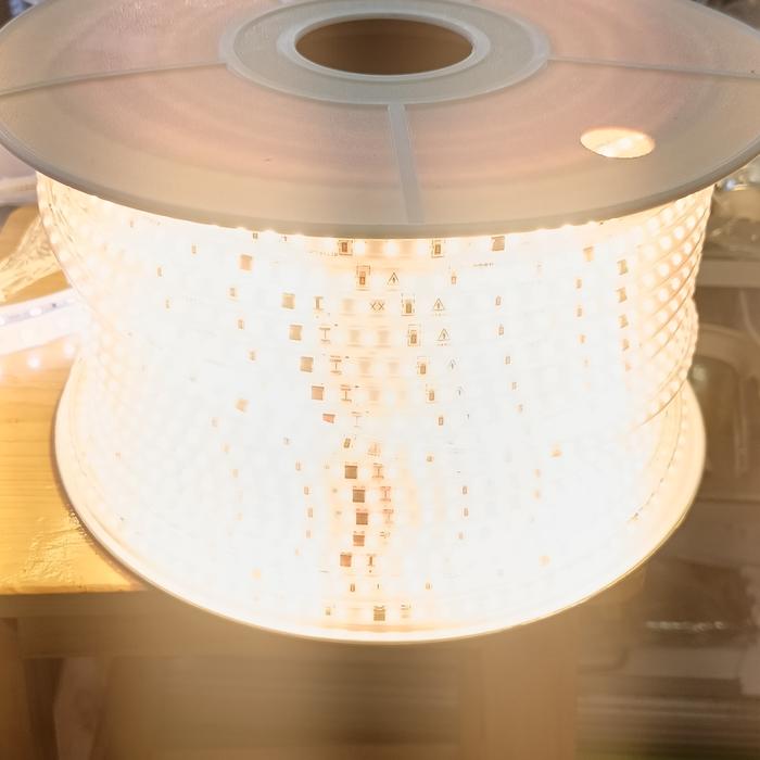 Jual Lampu Selang Led Strip 2835 120LED 1 ROLL 100M 100Meter Mata Rapet ...