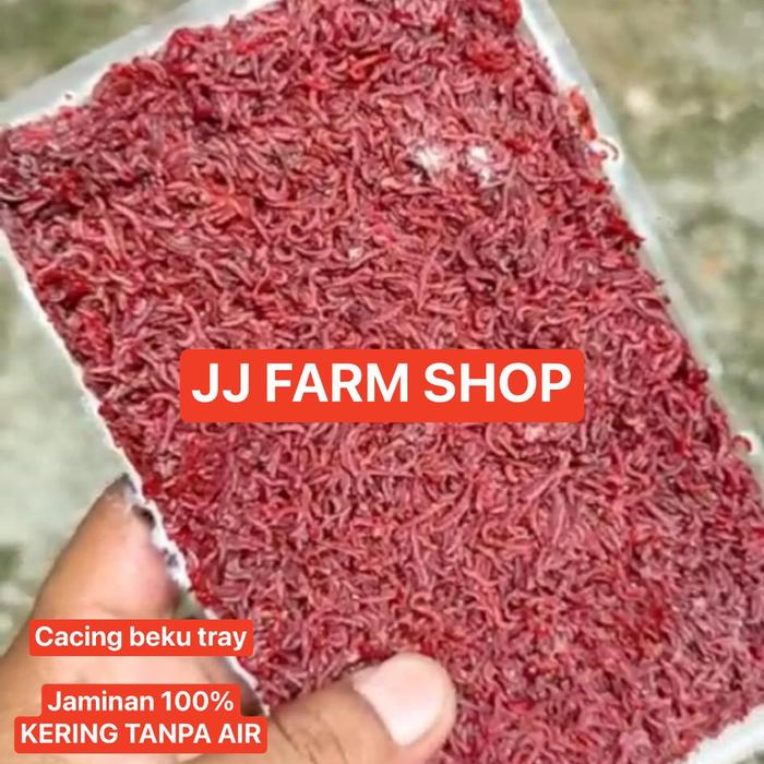Jual Cacing beku trey tray super kering super bloodworm hanya GOJEK ...