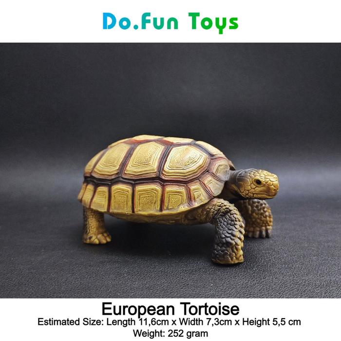 Jual TORTOISE Animal Figure / Koleksi Mainan Miniatur Binatang Aneka ...