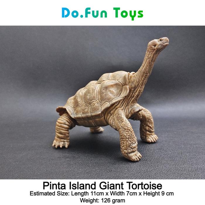 Jual TORTOISE Animal Figure / Koleksi Mainan Miniatur Binatang Aneka ...
