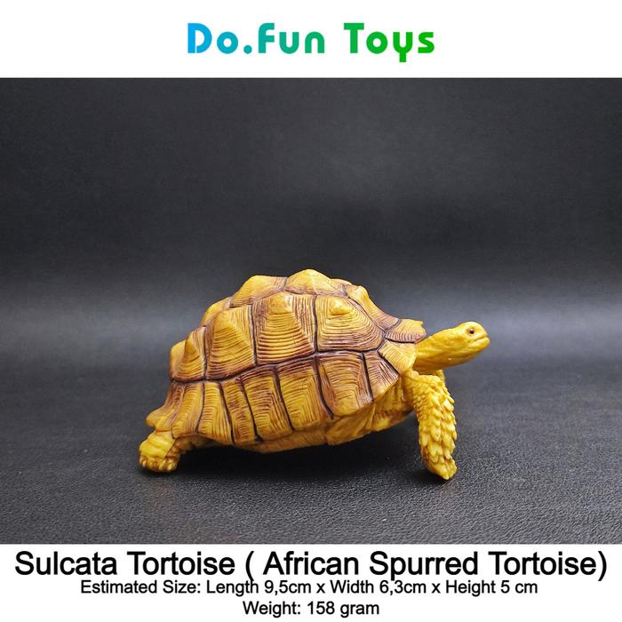 Jual TORTOISE Animal Figure / Koleksi Mainan Miniatur Binatang Aneka ...