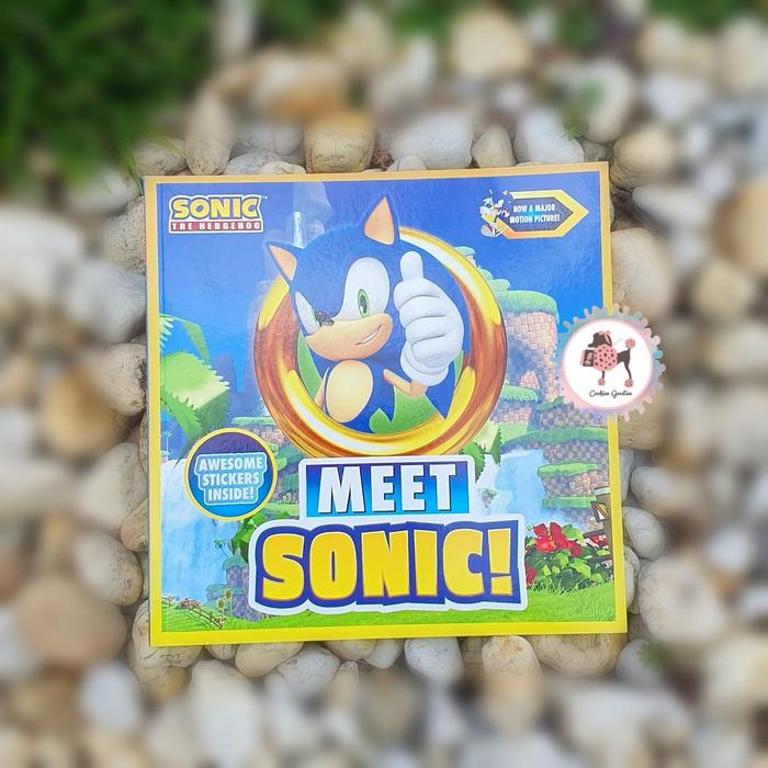 Jual Sonic the Hedgehog Meet Sonic Storybook - Kota Medan ...