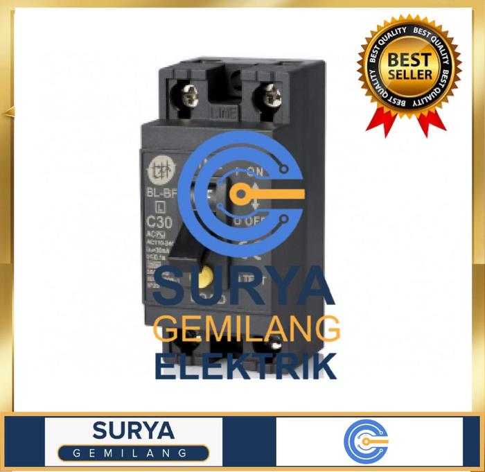 Jual ELCB Earth Leakage Circuit Breaker SHILIN BL-BF L 2P Pendeteksi ...