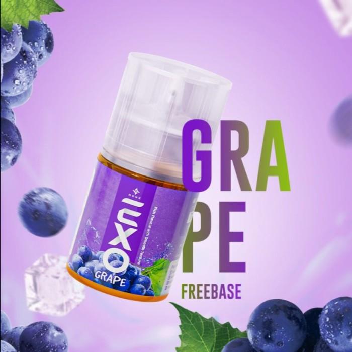 Jual EXO MANGO GRAPE MELON APPLE BERRY WATERMELON 60ML 3MG BY MONK ...