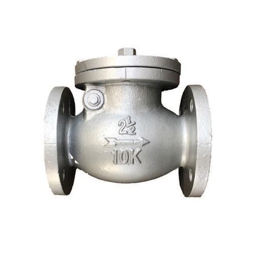 Jual FLANGE TYPE SWING CHECK VALVE 12" JIS 10K DISC BRASS - Jakarta ...