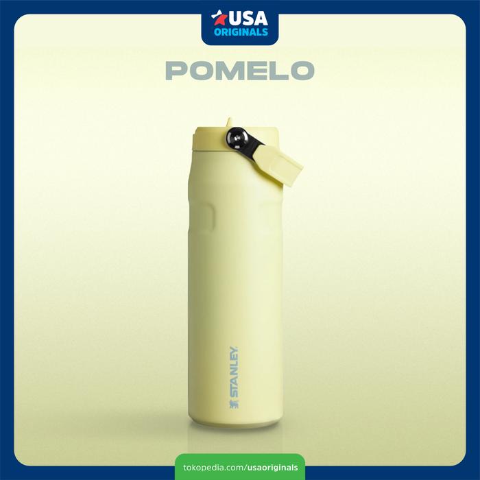 Jual Stanley Iceflow 2.0 Flip Straw NEW Collection Tumbler Quencher ORI ...