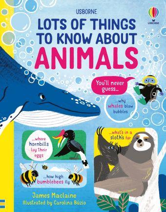 Jual Usborne 100 Things to Know About - animal lots - Kota Tangerang ...